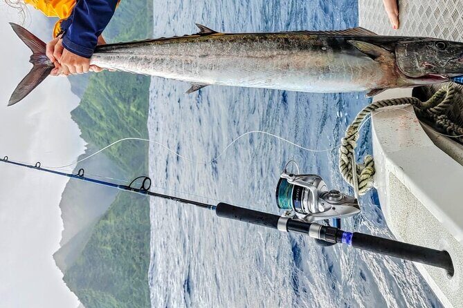 Offshore fishing around the Teahupo'o wave - FAQs