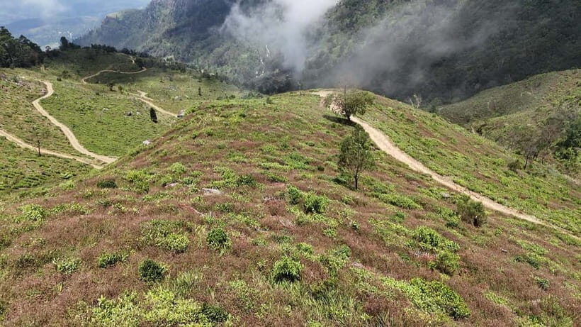Ohiya: Devils Staircase Guided Hike to Kalupahana - A Full Review of the Devils Staircase Hike