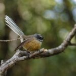 Okarito Nature Tour - Final Thoughts on the Okarito Nature Tour