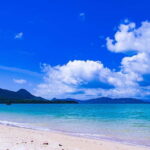 Okinawa Classic Highlights & Flexible Routes: Private Tour - Analyzing Value and Who Will Appreciate This Tour