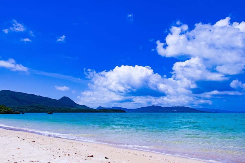 Okinawa Classic Highlights & Flexible Routes: Private Tour - Analyzing Value and Who Will Appreciate This Tour