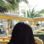 Okinawa: Double-Decker Open Top Bus Tour for Shuri Castle - Deep Dive into the Experience