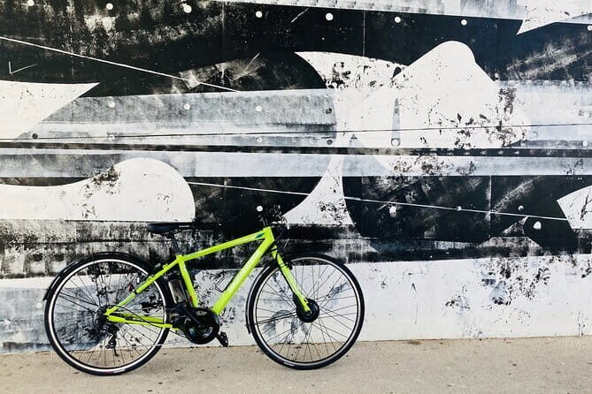 Okinawa E-bike Rental (Sporty Type) - Authenticity and Customer Perspectives
