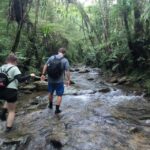 Okinawa: Jungle Trek and Waterfalls: private tour in Yanbaru - Authentic and Educational