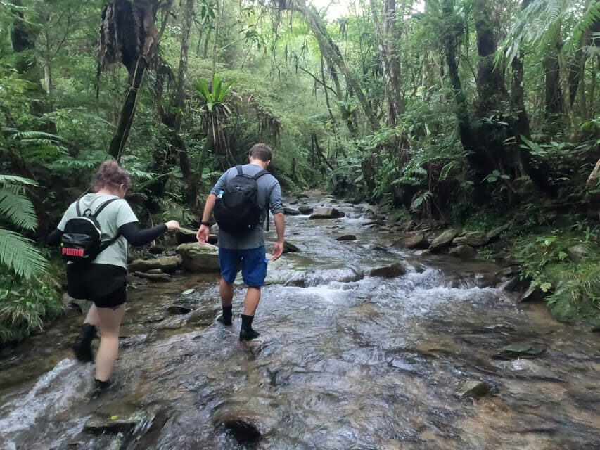 Okinawa: Jungle Trek and Waterfalls: private tour in Yanbaru - Authentic and Educational