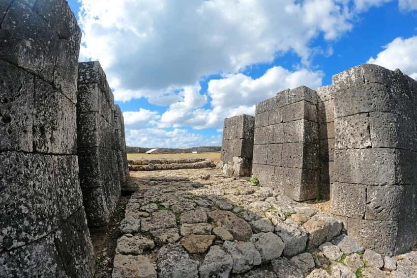 Okinawa: Katsuren Castle Ruins and Museum Guided Tour - Why You Should Consider This Tour