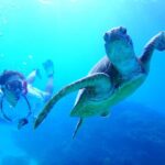 Okinawa : Kerama Whole Day Snorkeling Tour From Chatan/Naha - Who Should Consider This Tour?