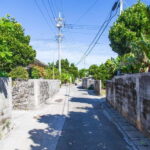 Okinawa: Sacred Island Tour to Kudakas Ryukyuan Holy Sites - What the Tour Feels Like in Practice