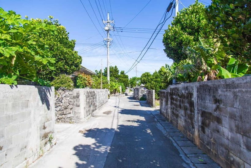 Okinawa: Sacred Island Tour to Kudakas Ryukyuan Holy Sites - What the Tour Feels Like in Practice