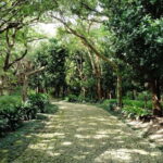 Okinawa: Shikinaen Royal Garden Guided Tour  UNESCO Site - The Value Proposition