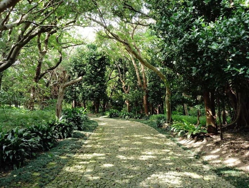Okinawa: Shikinaen Royal Garden Guided Tour  UNESCO Site - The Value Proposition