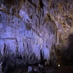 Okinawa South One Day Tour with Okinawa World ticket - An In-Depth Look at the Tour Itinerary