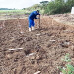 Okinawa: Traditional farming experience & cooking and a meal - Exploring the Root of Okinawan Cuisine