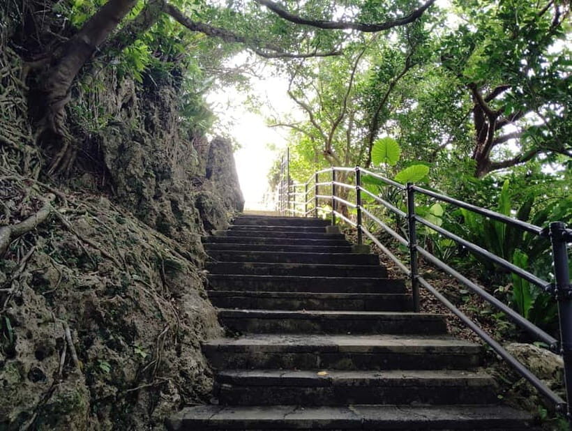 Okinawa: Urasoe Castle, Royal Tomb & War History Walk - A Deep Dive into the Experience