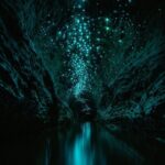 Okohua Glowworm Cave Adventure - Final Thoughts: Is This the Right Fit?