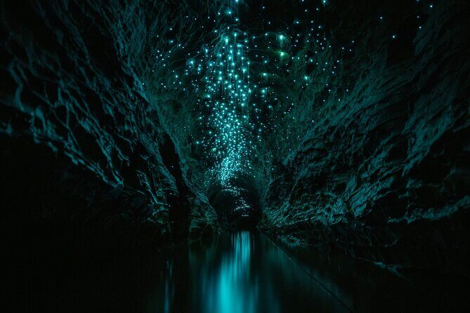 Okohua Glowworm Cave Adventure - Final Thoughts: Is This the Right Fit?