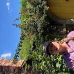 One day Hobbiton Movie set visit from Auckland - Transport and Logistics