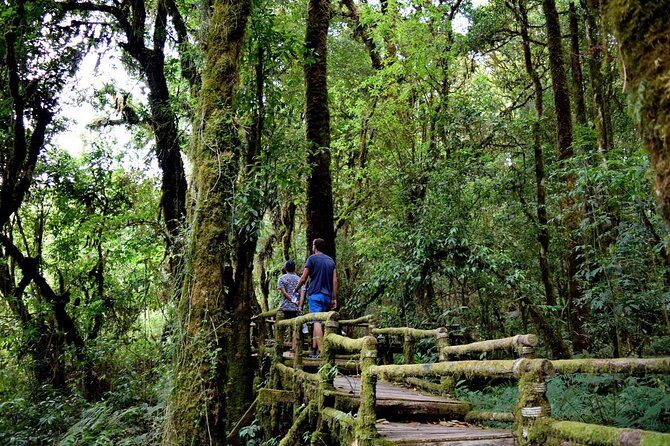 One Day Inthanon National Park (Private Tour) - Authentic Experiences and Highly Praised Aspects