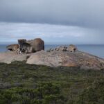 One Day Kangaroo Island Highlights Tour - Deep Dive into the Itinerary