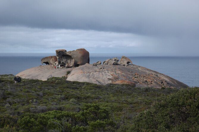 One Day Kangaroo Island Highlights Tour - Deep Dive into the Itinerary