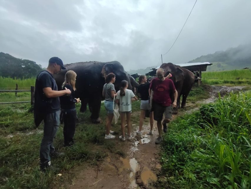 One Day Non Tourist Trek - What’s Included? Value in Every Part