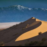 One Day Tour to Altyn-Emel: Singing Dune and Aktau Mountain - First Stop: The 700-Year-Old Willow Tree