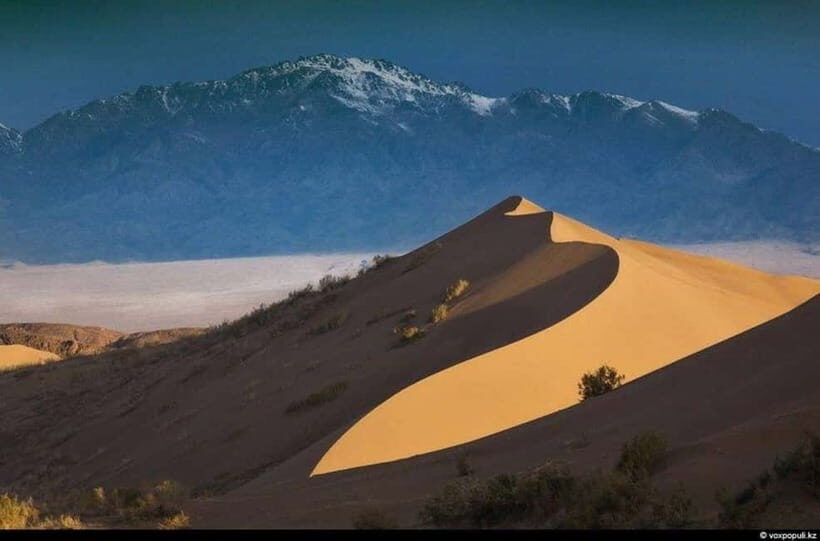 One Day Tour to Altyn-Emel: Singing Dune and Aktau Mountain - First Stop: The 700-Year-Old Willow Tree