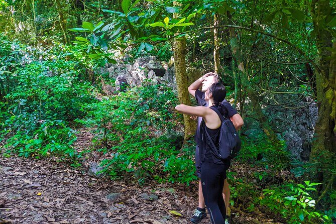One Day Trekking Cat Ba National Park - Final Thoughts: Who Will Love This Tour?