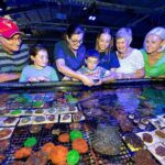 One Hour Coral Farm Tour, Discover Australia's Marine Life - A Closer Look at the Coral Farm Tour