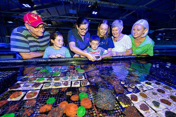 One Hour Coral Farm Tour, Discover Australia's Marine Life - A Closer Look at the Coral Farm Tour