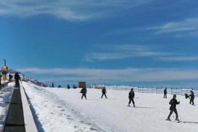 One way transfer to Remarkable or Coronet Peak Ski Fields - Why Choose This Transfer?