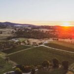 Orange: Savour with Swinging Bridge - Wine & Canapé Tasting - Authentic Reviews