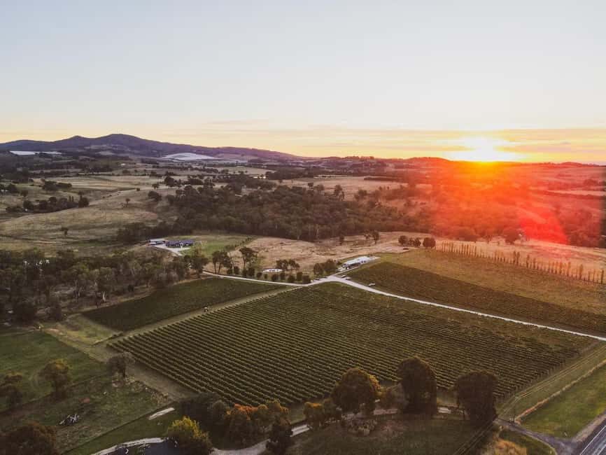 Orange: Savour with Swinging Bridge - Wine & Canapé Tasting - Authentic Reviews