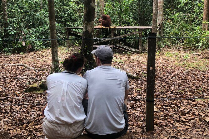 Orangutan Tanjung Puting Honeymoon CoupleTour - The Tour Experience: What Makes It Special