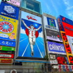 Osaka: 1-Day Guided Tour - Sky Bldg, Castle, Namba Shinsekai - Who Will Love This Tour?