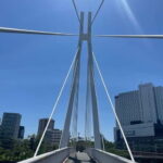 Osaka: Bike Adventure with Lunch - Analyzing the Value