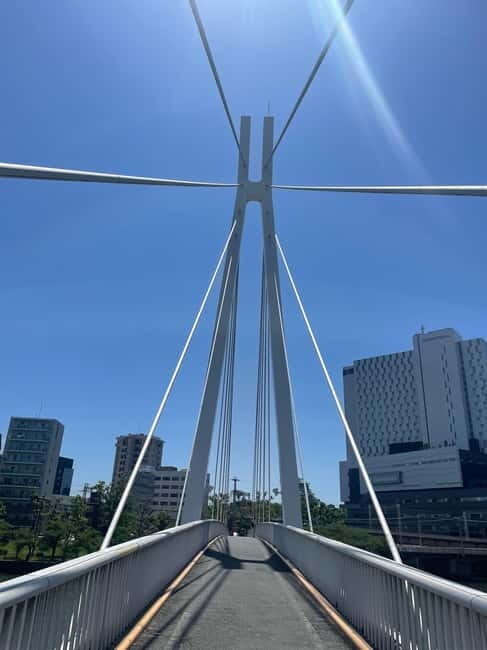 Osaka: Bike Adventure with Lunch - Analyzing the Value
