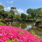 Osaka: City Highlights Bike Tour - What Makes This Tour Stand Out?