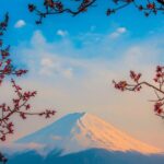 Osaka, Kyoto & Nara 5 Days Tour with Accomodation - The Advantage of a Private Photography Tour