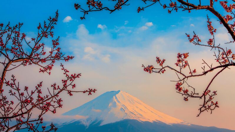 Osaka, Kyoto & Nara 5 Days Tour with Accomodation - The Advantage of a Private Photography Tour