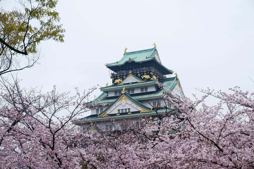 Osaka: Osaka Castle 3 hours Historical Walking Tour - What to Expect and Practical Tips