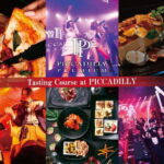 Osaka: PICCADILLY PREMIUM DINNER SHOW&NIGHTCLUB with Tasting - Final Thoughts
