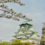 Osaka: Private Tour with English speaking Guide and pickup - What Makes This Tour Stand Out