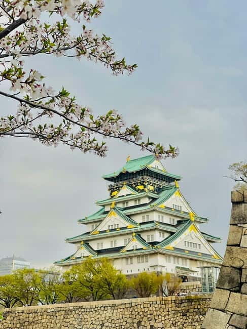 Osaka: Private Tour with English speaking Guide and pickup - What Makes This Tour Stand Out