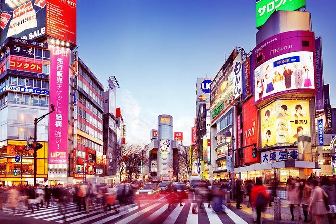 Osaka Private Transfer from Osaka central to Itami Airport (ITM) - What You Can Expect on Your Ride