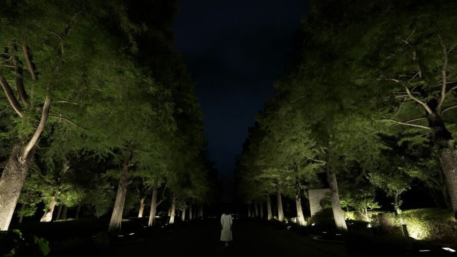 Osaka: teamLab Botanical Garden Entry Ticket - Analyzing Value and Who Will Love It