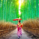 Osaka to Kyoto: Arashiyama Bamboo Grove Small Group Tour - Who Is This Tour Best For?