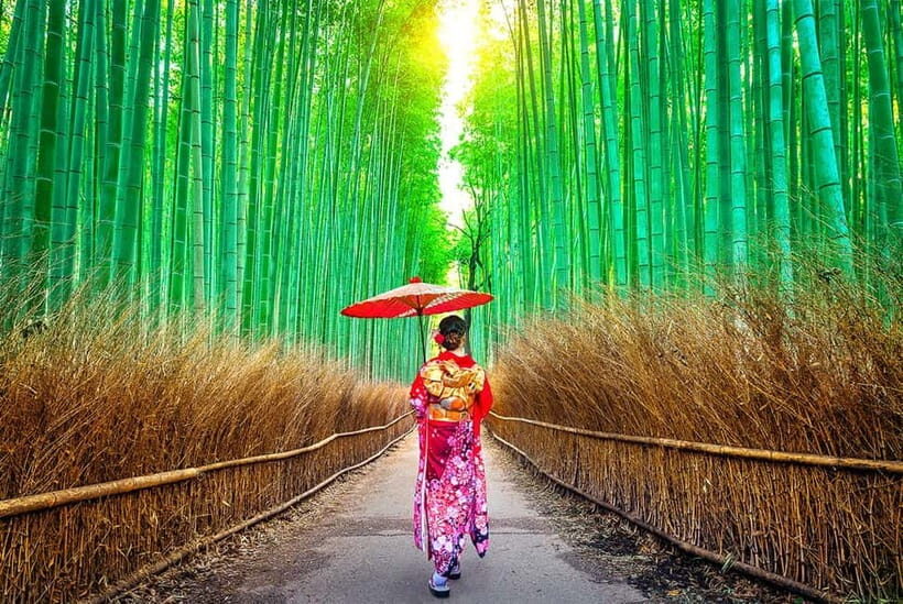 Osaka to Kyoto: Arashiyama Bamboo Grove Small Group Tour - Who Is This Tour Best For?