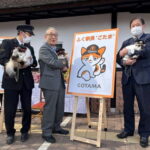 Osaka: Wakayama Cat Train, Seafood market, Hot Springs Tour - The Charm of Kishi Station and Tama the Stationmaster