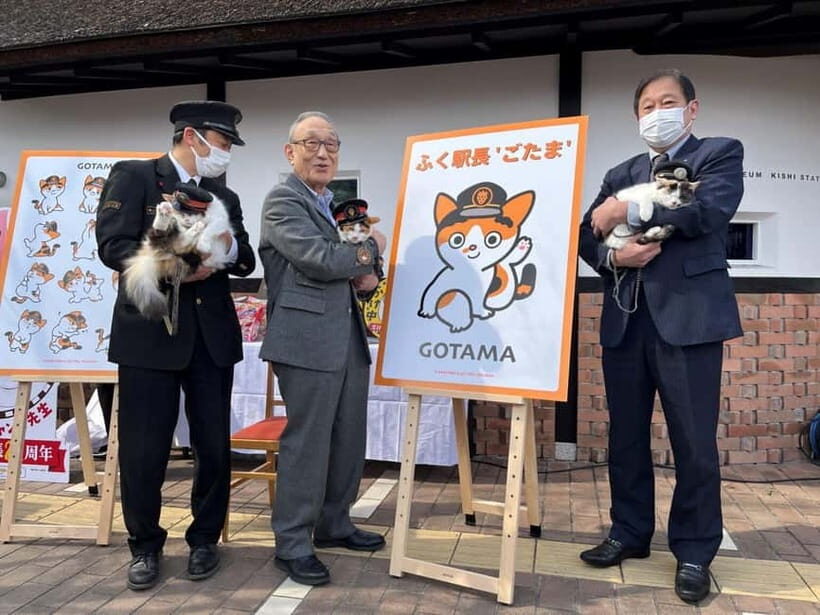 Osaka: Wakayama Cat Train, Seafood market, Hot Springs Tour - The Charm of Kishi Station and Tama the Stationmaster